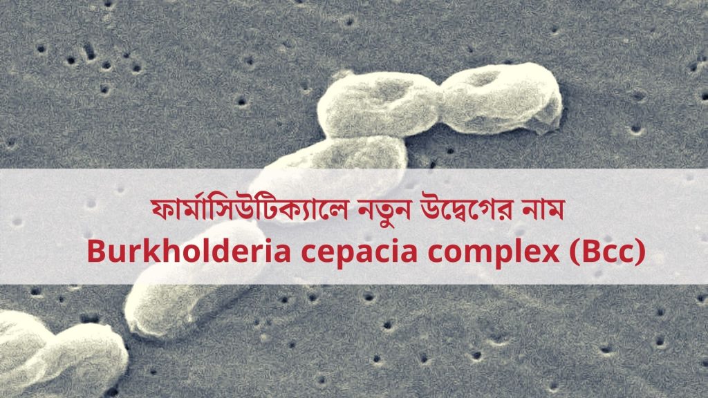 ফার্মাসিউটিক্যালে নতুন উদ্বেগের নাম Burkholderia cepacia complex (Bcc ...